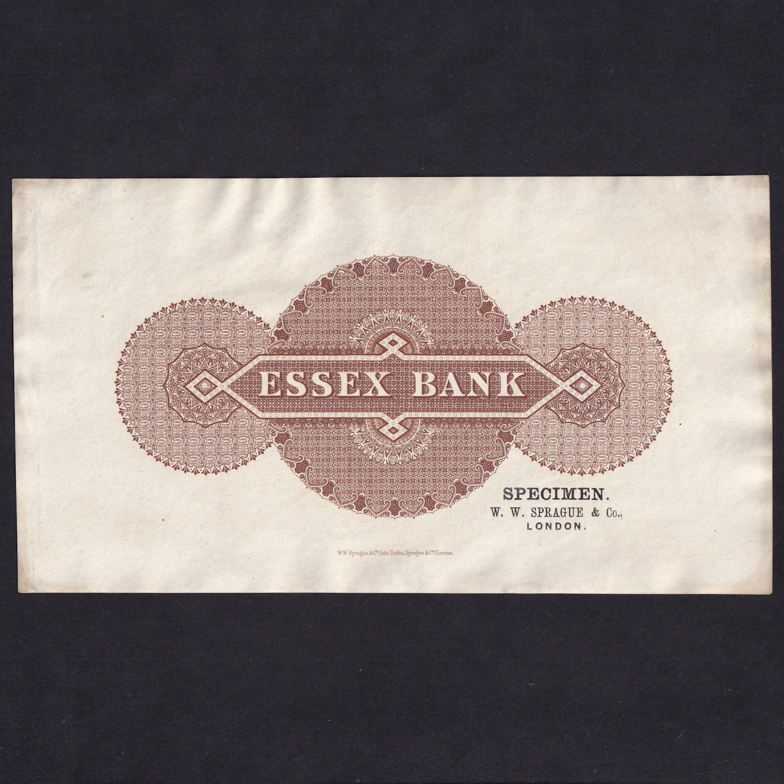 Provincial - Essex Bank, reverse specimen, Sprague & Co., mount residu ...